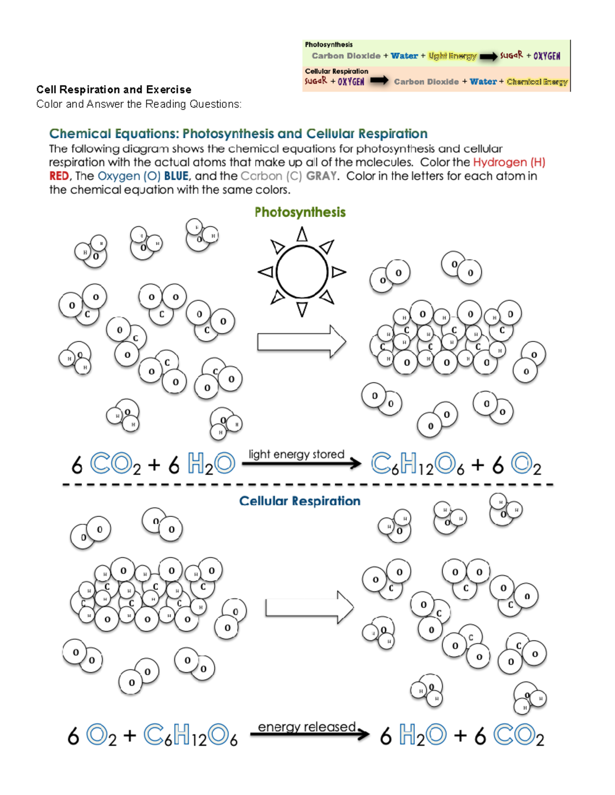 Copy of Lab 8 Reading Questions Photosynthesis and Cell Respiration ...