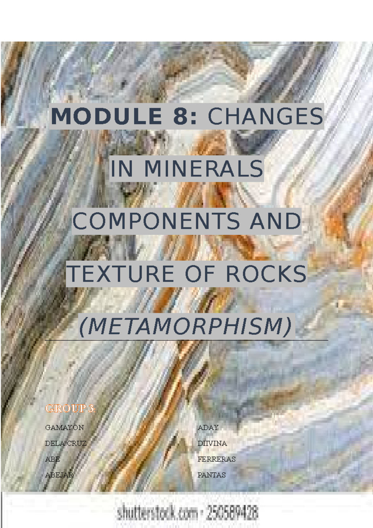 META - cxzxzxcz - MODULE 8: CHANGES IN MINERALS COMPONENTS AND TEXTURE OF ROCKS (METAMORPHISM ...