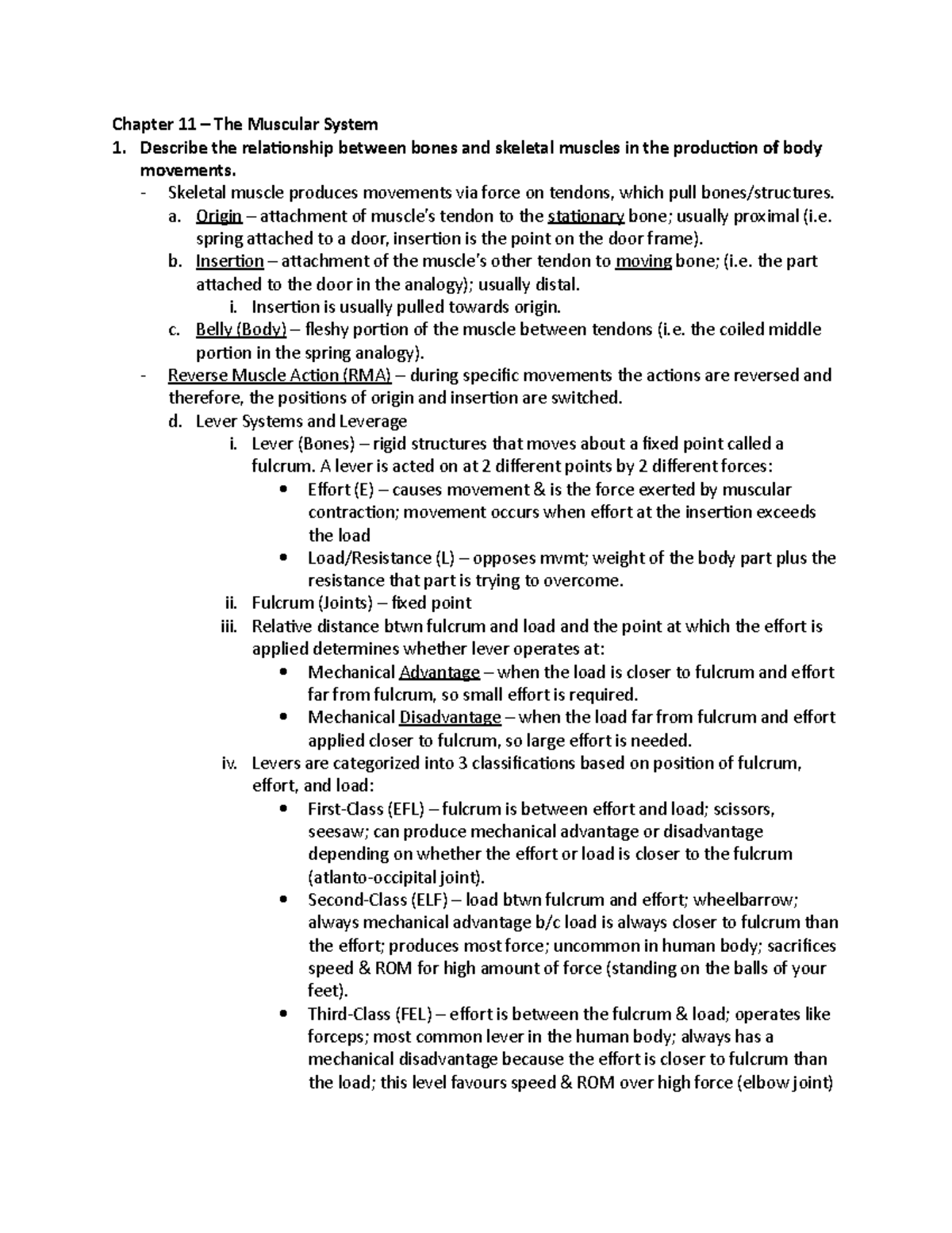Chapter 11-18 - **Chapter 11 – The Muscular System Describe the ...