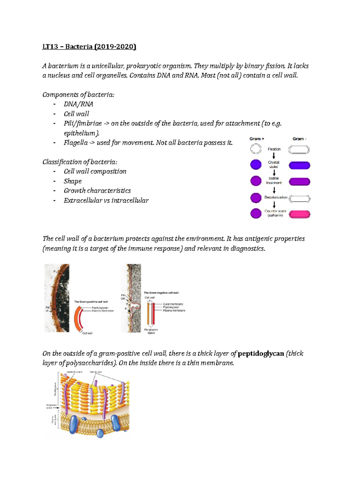 Mod1 Lt13 Bacteria College Aantekeningen 13 Lt13 Bacteria 2019
