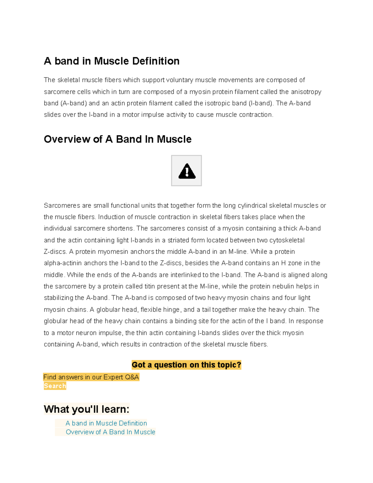 Biology - A band in Muscle Definition The skeletal muscle fibers which ...