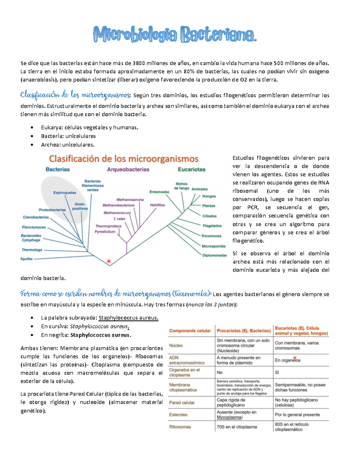 Microbiologia bacteriana - Warning: TT: undefined function: 32 Warning: TT: undefined function ...