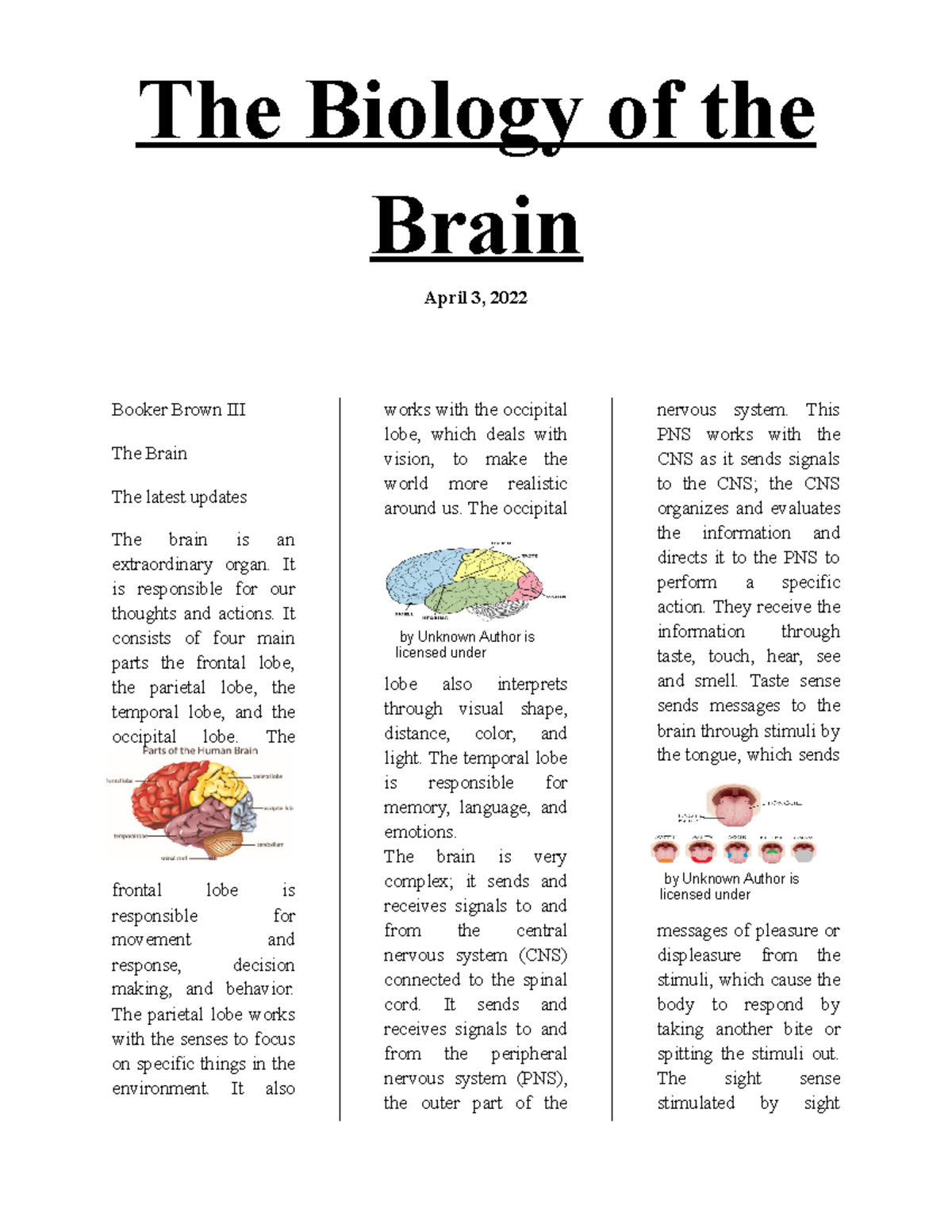 The biology of the brain newsletter - by Unknown Author is licensed ...