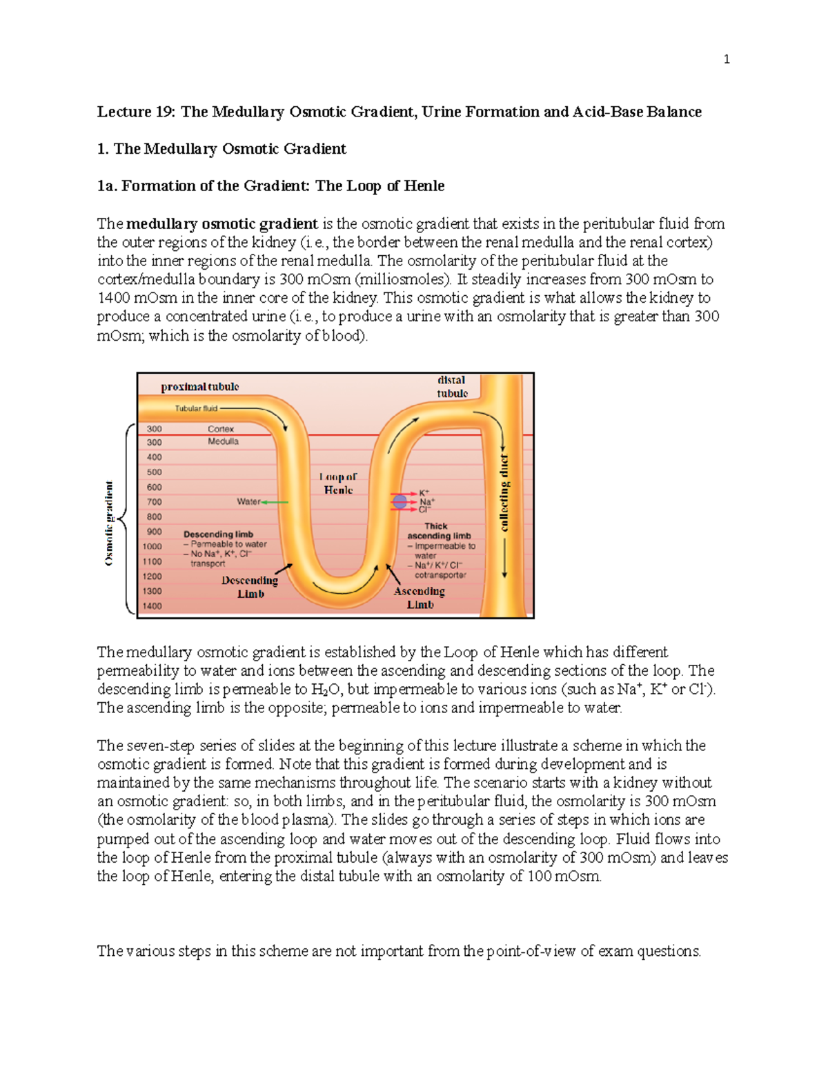 Lecture 19 Notes 2022 - n/a - Lecture 19: The Medullary Osmotic ...