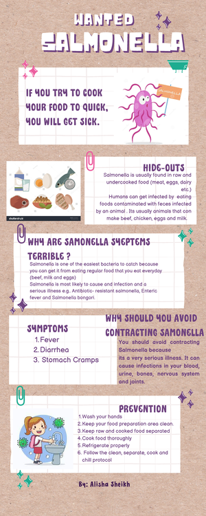 Wanted Salmonella Poster - WANTEDWANTED SALMONELLA SALMONELLA WHY ARE ...