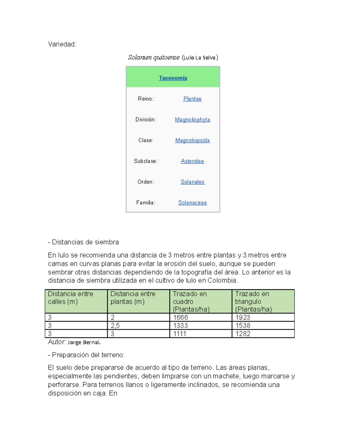 Cultivo de Solanum quitoense (Lulo La Selva) - Variedad: Solanum ...