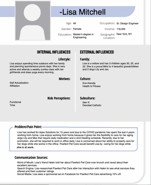 Consumer Persona Executive Summary Template Complete - Pawfect PetCare ...