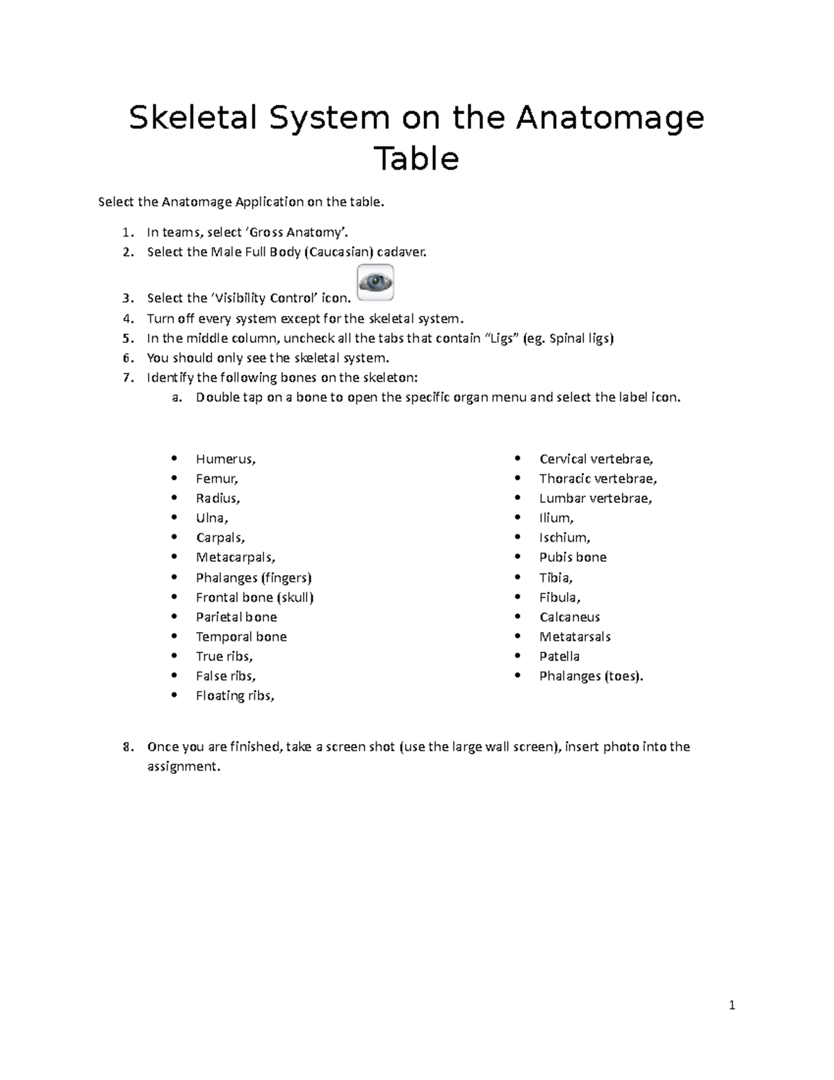AP I Wk 2 Anatomage Table group 5 - Skeletal System on the Anatomage ...