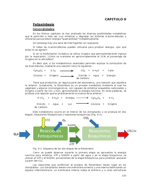 12345467 - UNIVERSIDAD NACIONAL AGRARIA LA MOLINA FACULTAD DE AGRONOMÍA ...
