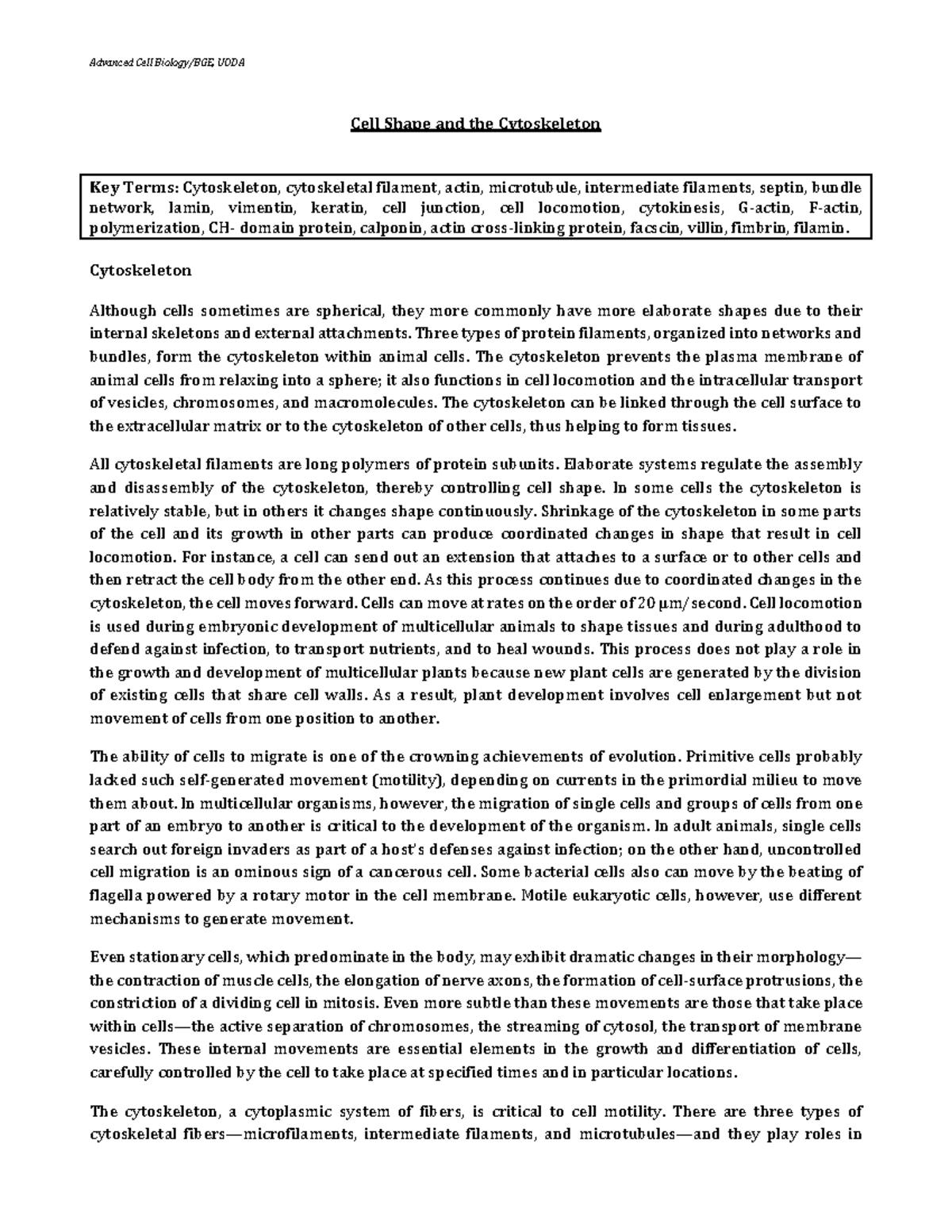Cell Shape and the Cytoskeleton-1 - Cytoskeleton Although cells ...