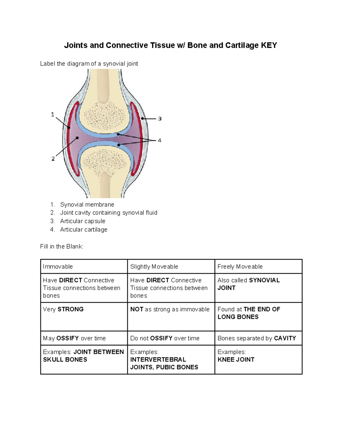 Key RP 2 - Joints and Connective tissue with Bone and Cartilage ...