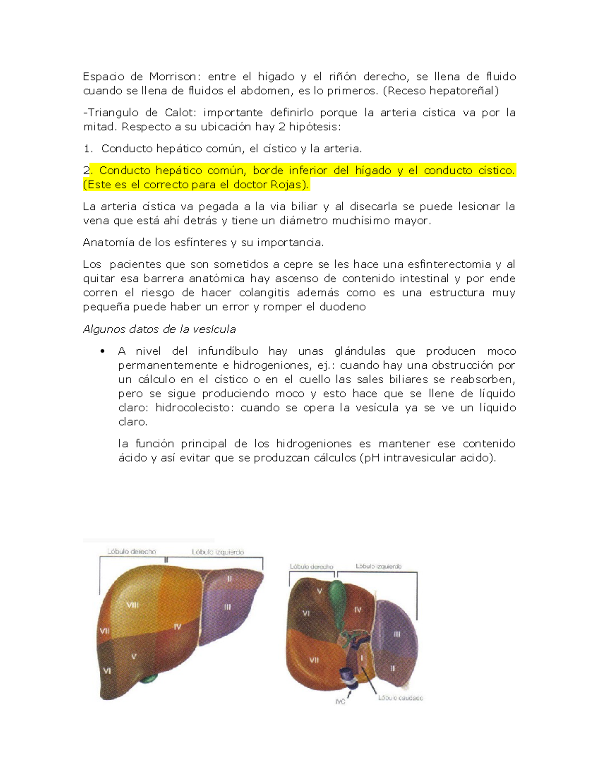 VÍAS Biliares - Espacio de Morrison: entre el y el derecho, se llena de ...