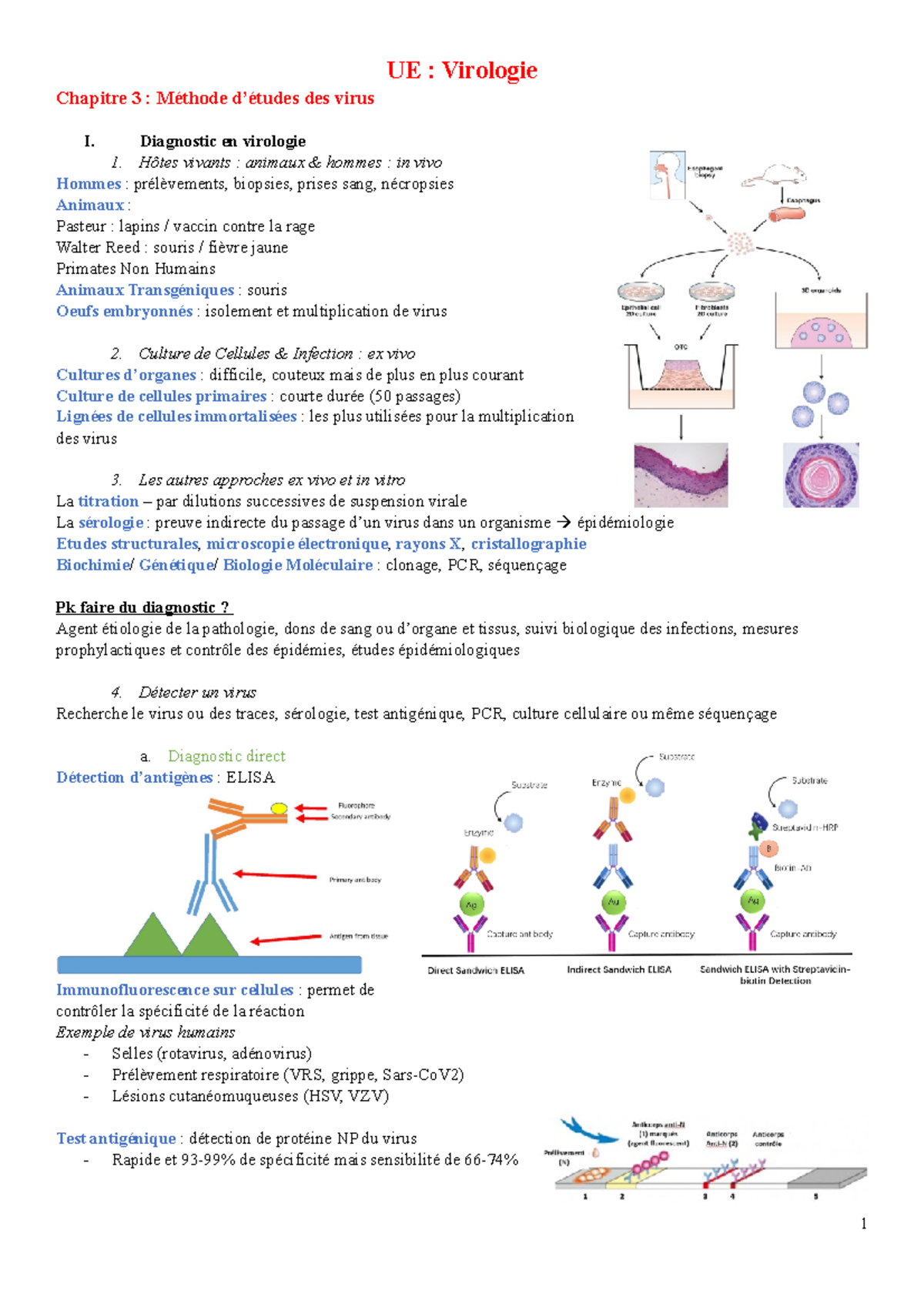 Virologie 3 - prise de note - UE : Virologie Chapitre 3 : Méthode d’études des virus I ...
