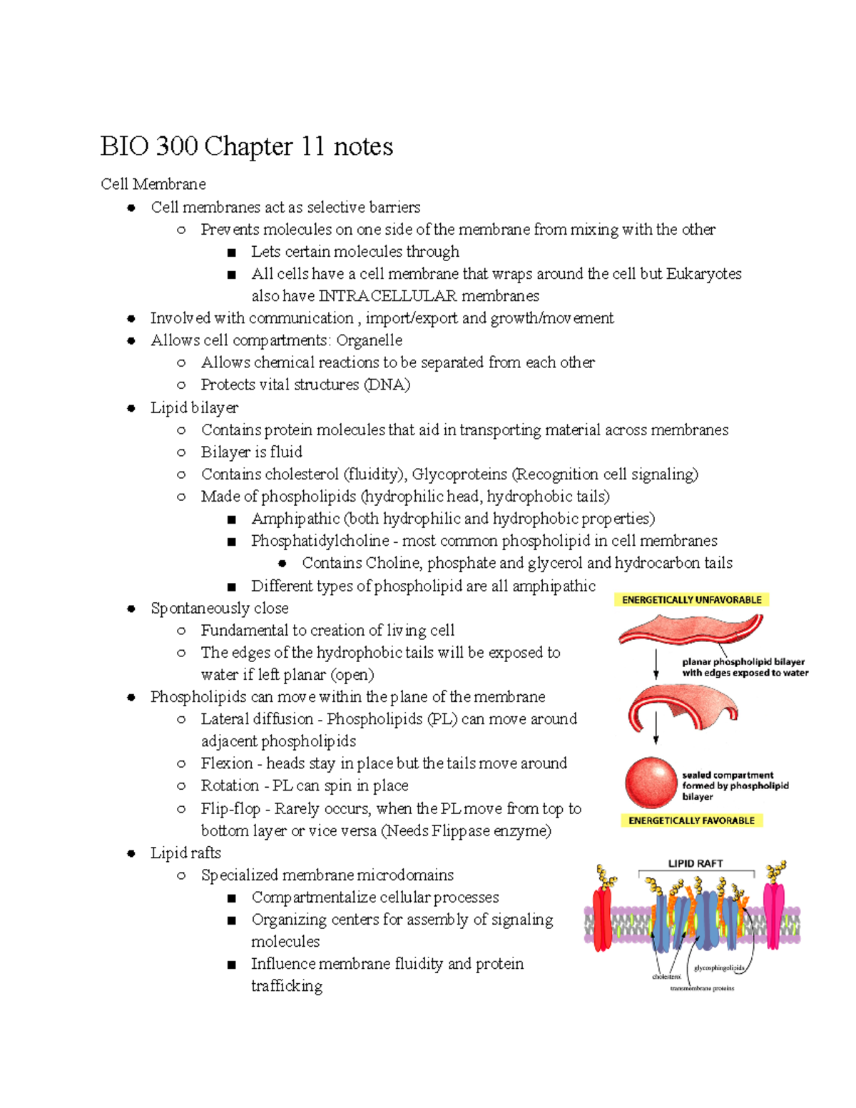 BIO 300 Ch. 11 Notes - Proff. Vick - BIO 300 Chapter 11 notes Cell ...