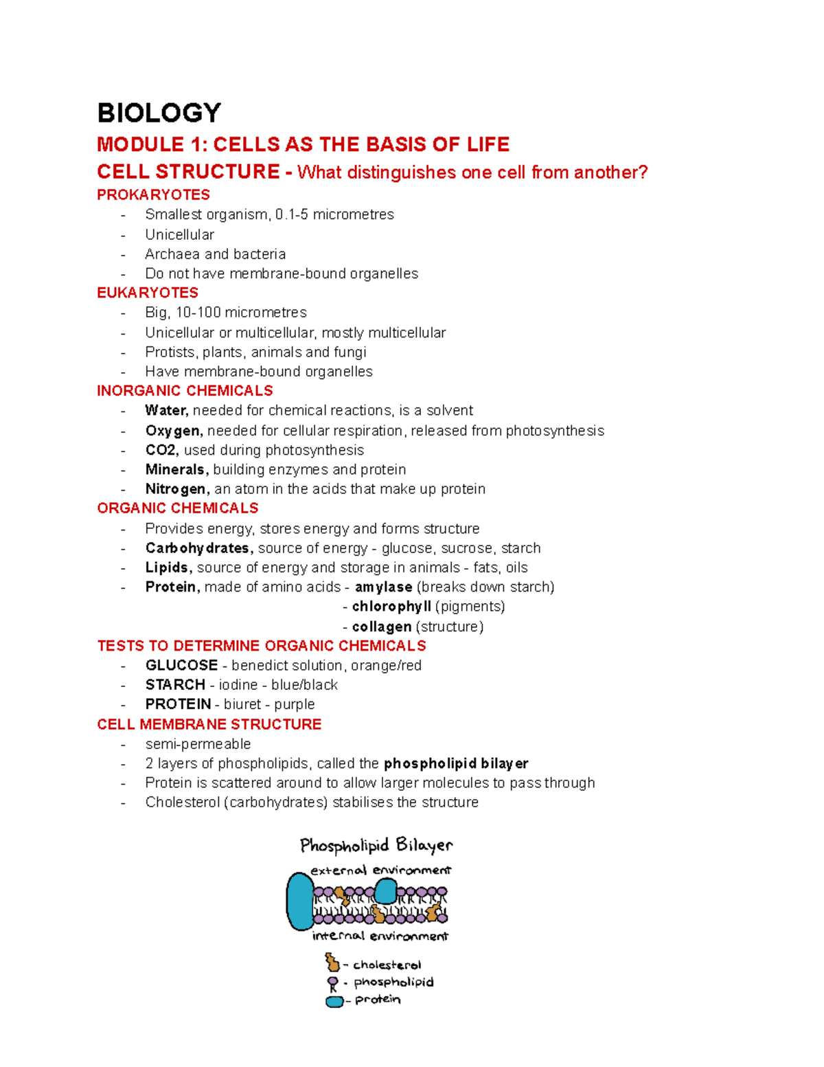 Biology - MOD 1 Cells As The Basis Of Life - BIOLOGY MODULE 1: CELLS AS ...