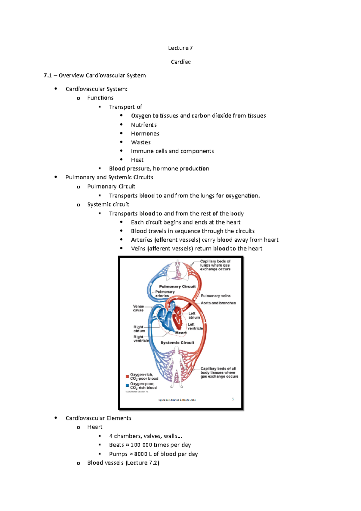 Cardiac and Vascular - Lecture 7 Cardiac 7 – Overview Cardiovascular ...