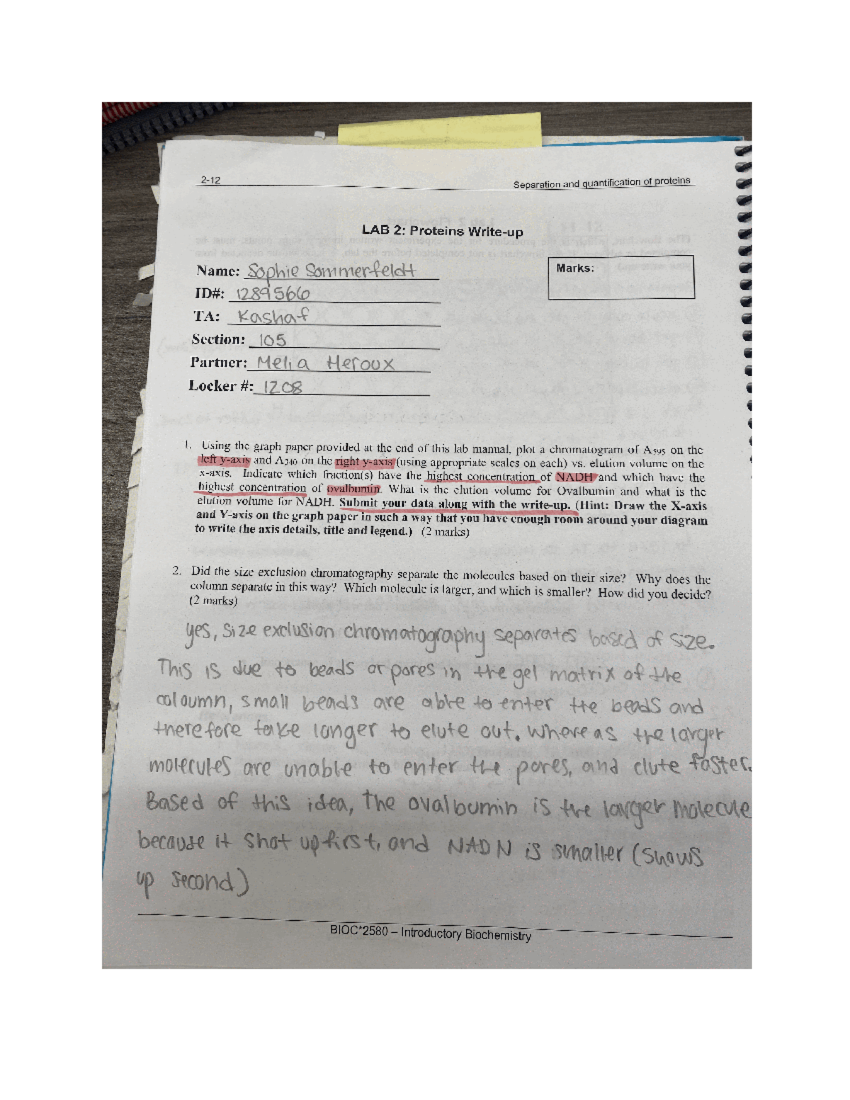 Biochem Lab 2 - Lab 2 write up - Separation and quantification of ...