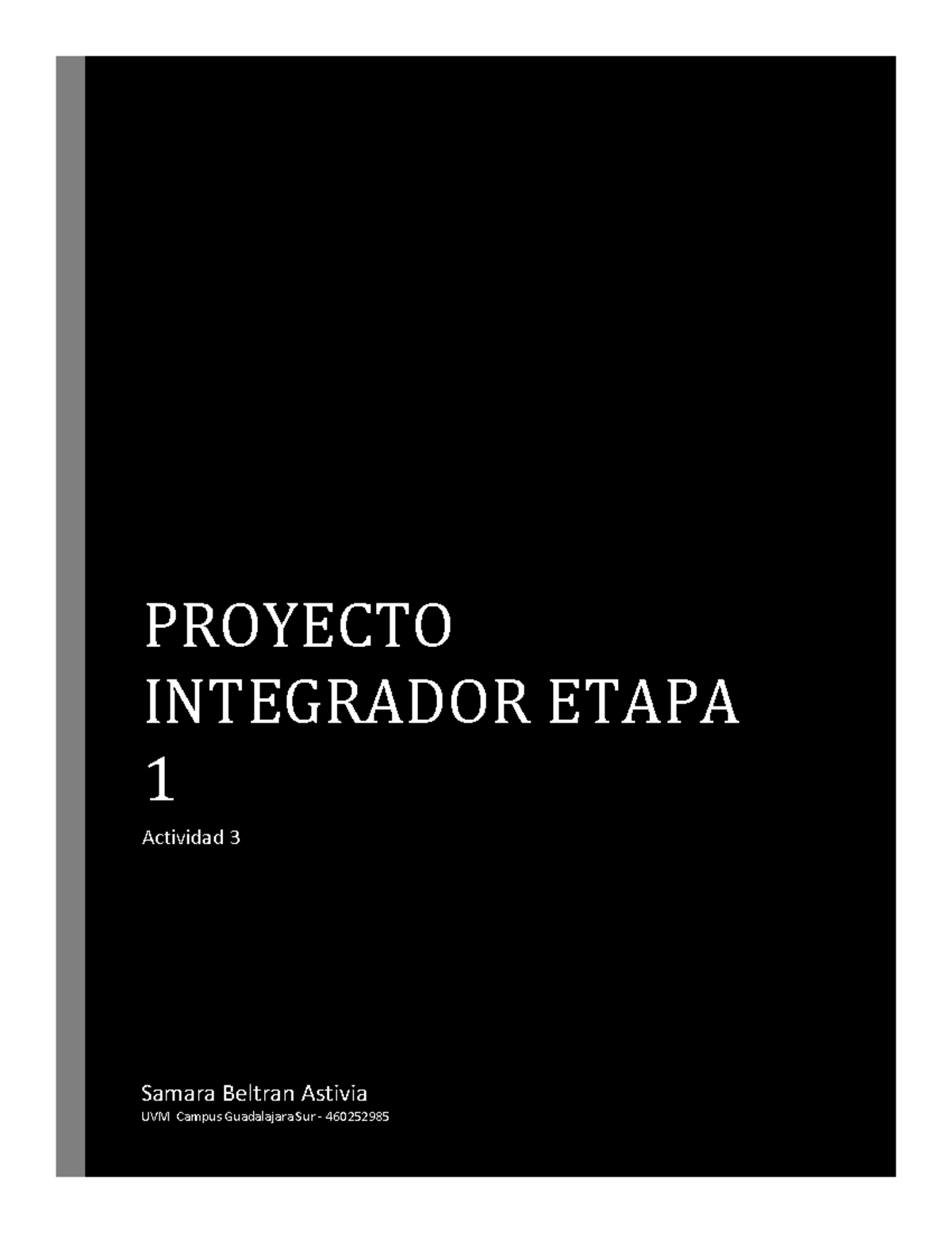 Actividad 3. Proyecto Integrador 1 sba - PROYECTO INTEGRADOR ETAPA 1 Actividad 3 Samara Beltran ...