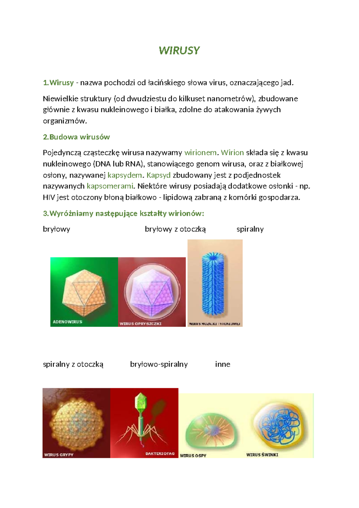Wirusy - WIRUSY 1 - nazwa pochodzi od łacińskiego słowa virus ...