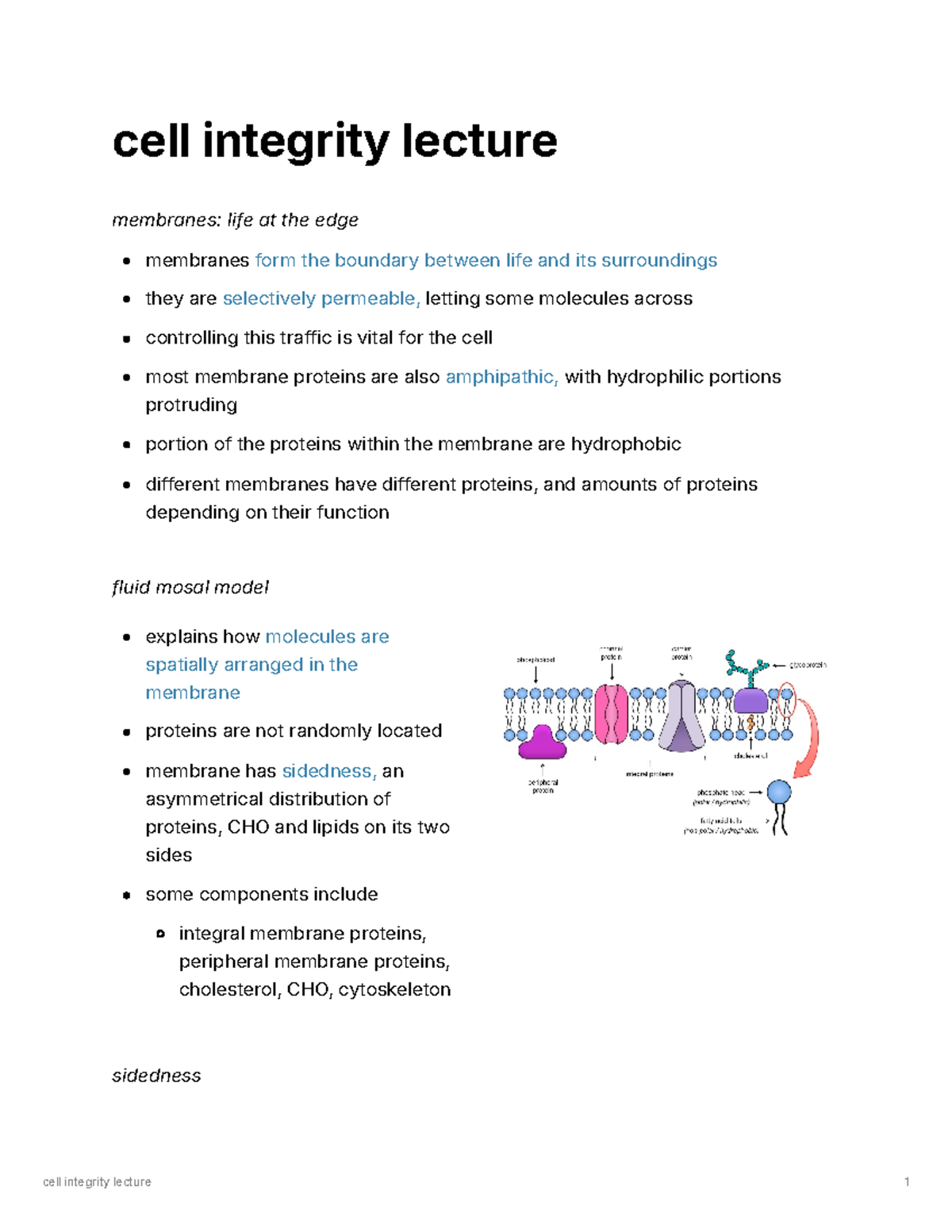 cell integrity lecture - ABO blood types cell integrity phospholipid ...