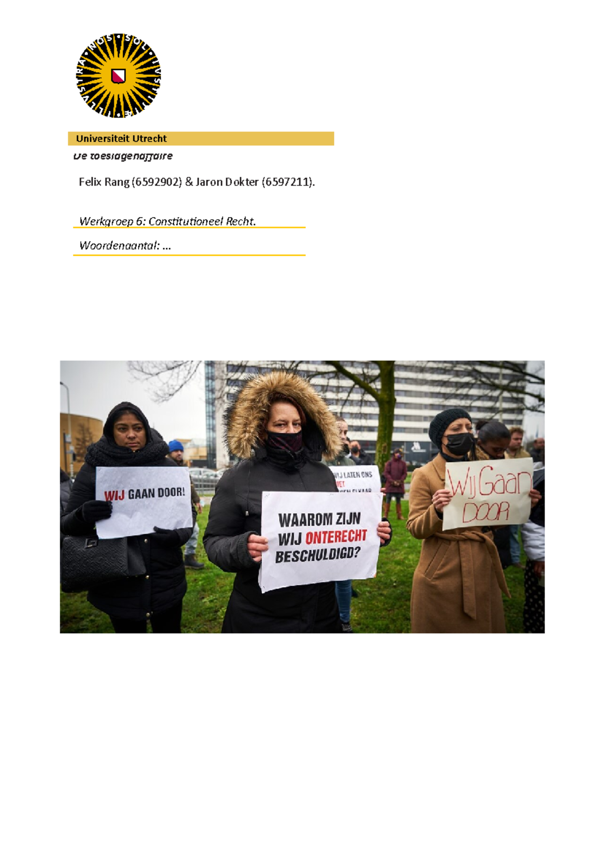 Paper Final - Cijfer: 7 - De toeslagenaffaire Felix Rang (6592902 ...