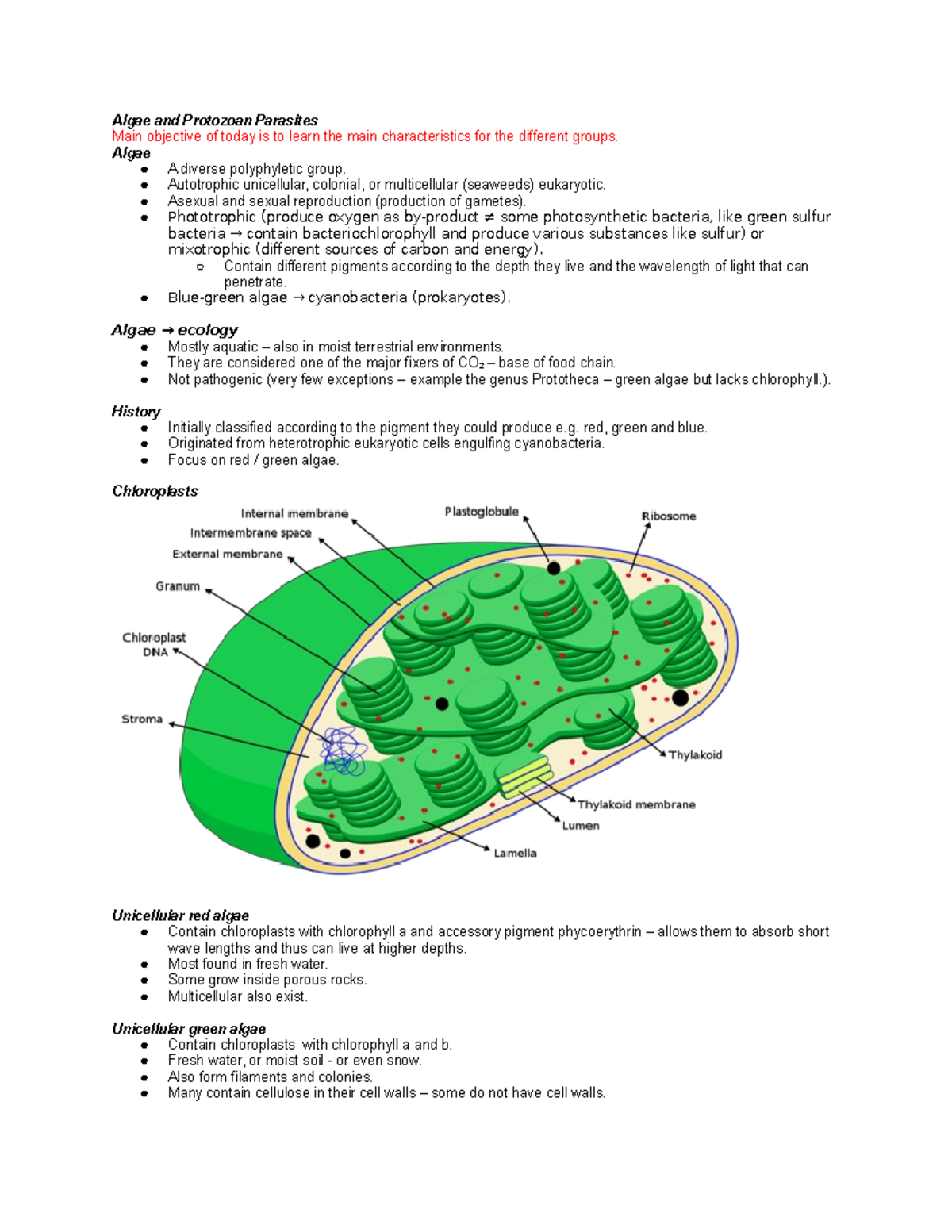 Algae and Protozoan Parasites - Algae A diverse polyphyletic group ...