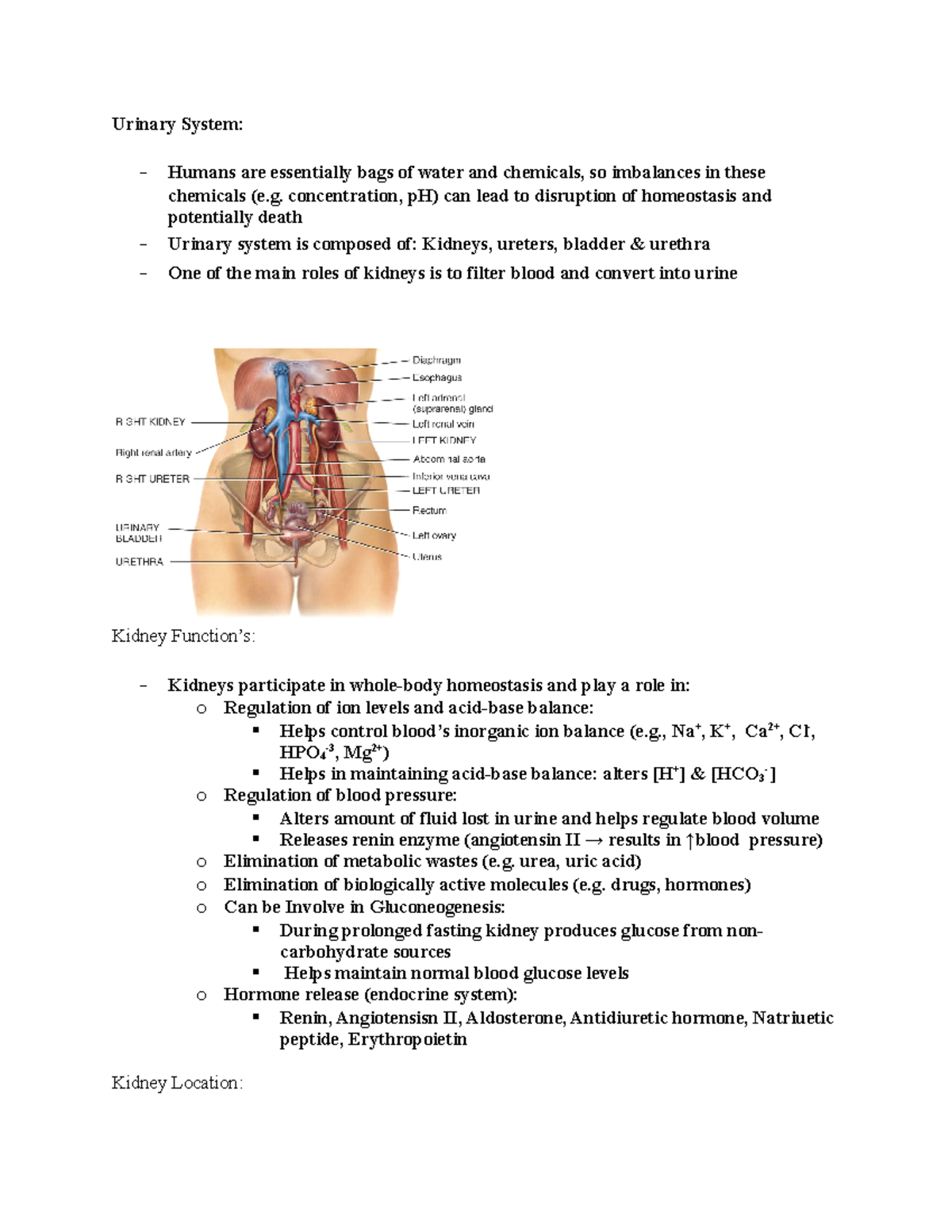 Urinary System: Electrolytes - Urinary System: Humans are essentially ...
