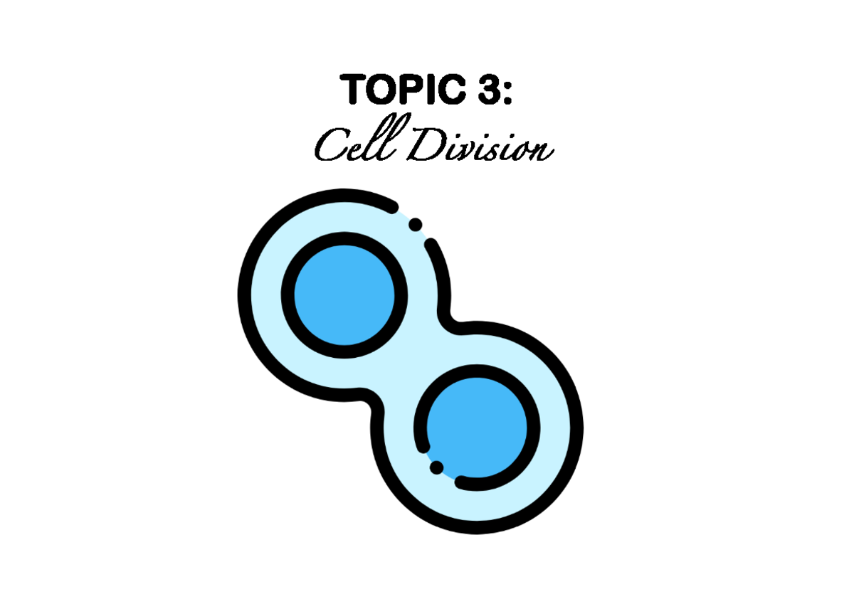 3.0 CELL Division - Biology chapter 3 - TOPIC 3: CELL DIVISION 3 The ...