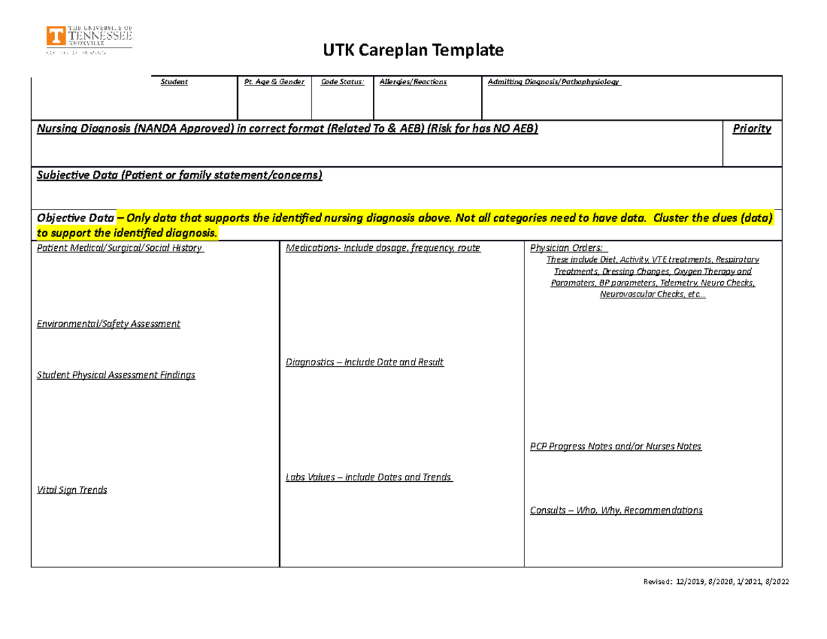 TBSN UTK Careplan Template - UTK Careplan Template Student Pt. Age ...