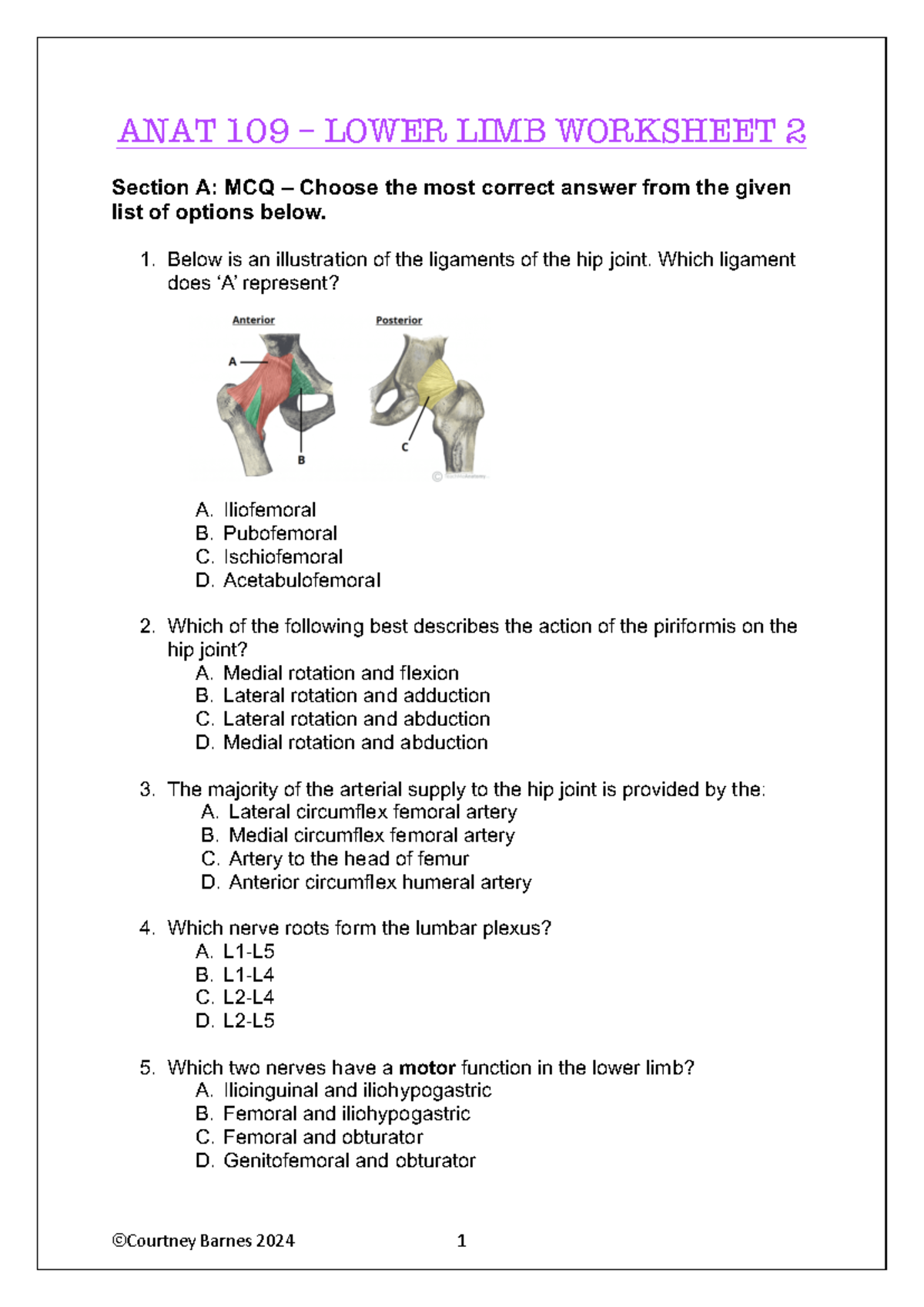 ANAT 109 - LL Worksheet 2 & Answers - ANAT 109 – LOWER LIMB WORKSHEET 2 ...