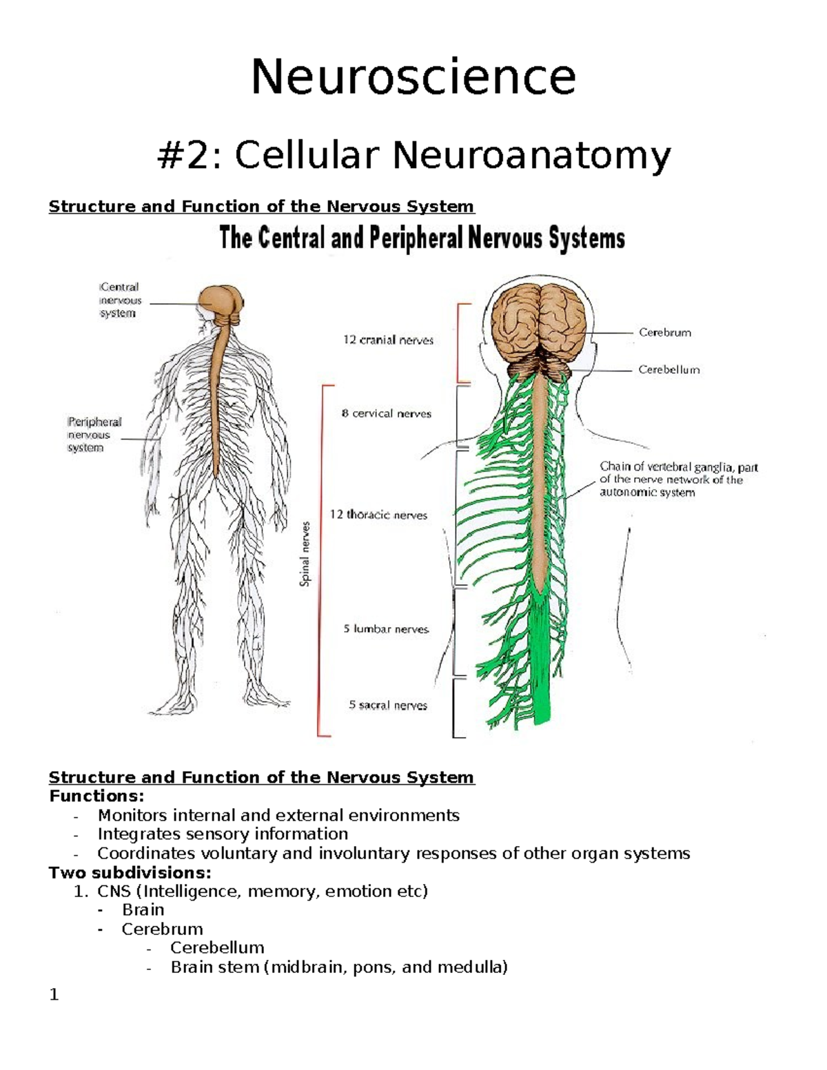 BMS2011 Lectures - Neuroscience #2: Cellular Neuroanatomy Structure and Function of the Nervous ...