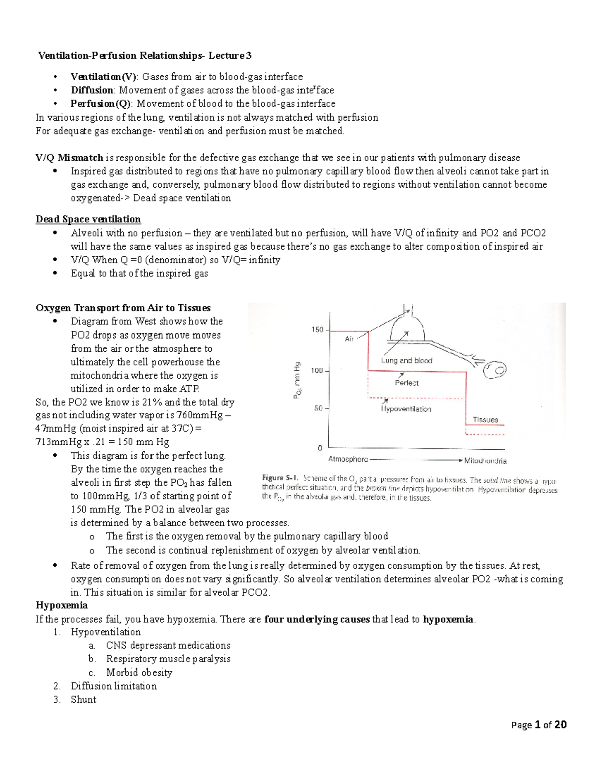 Lecture 3 Study guide VQ relationships - Ventilation-Perfusion ...