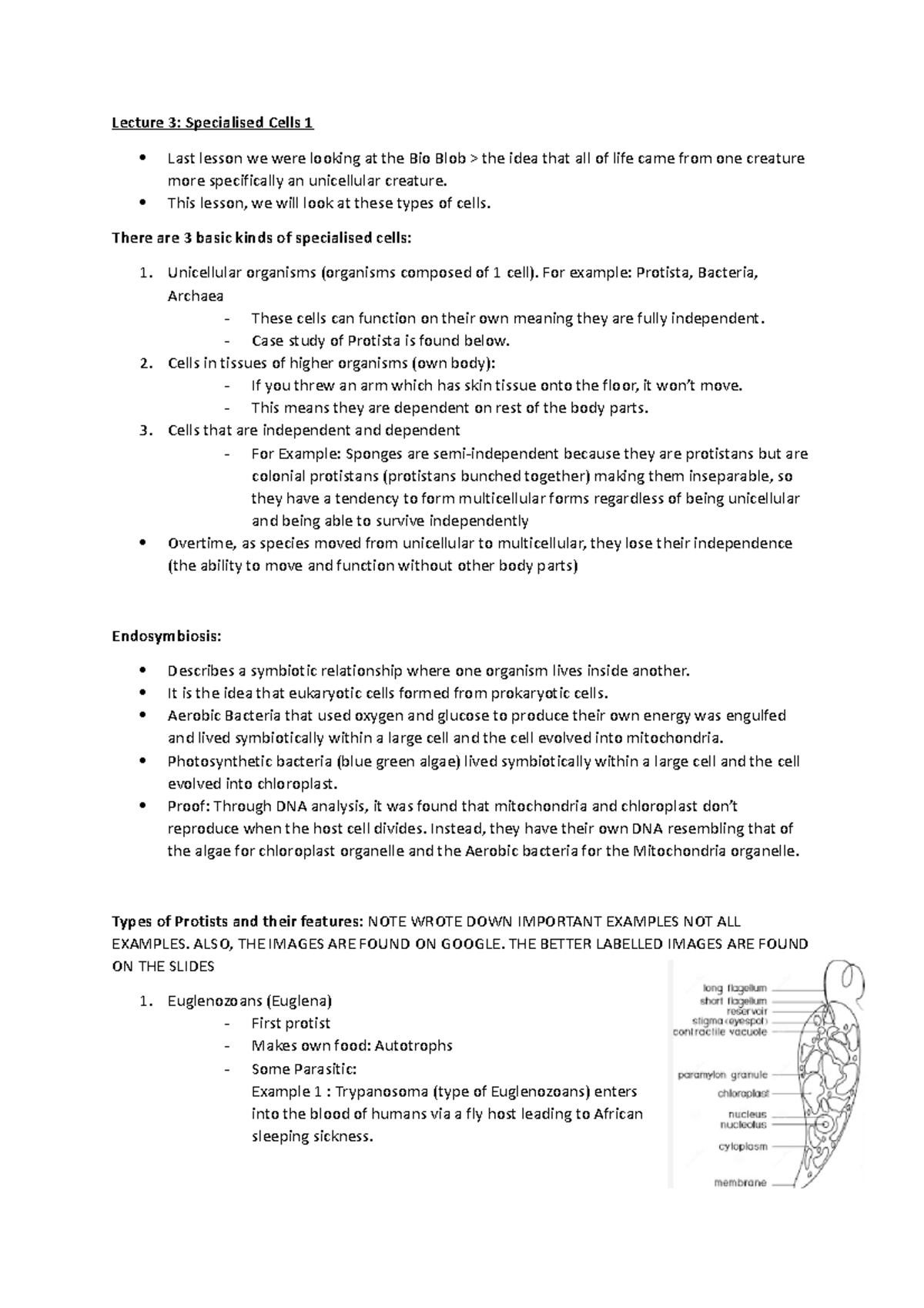 BIOS1101 W1 L3 - L5 notes - Lecture 3: Specialised Cells 1 Last lesson ...