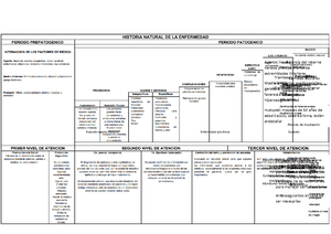 IRAS Y EDAS que es y como se transmite - Infecciones respiratorias ...