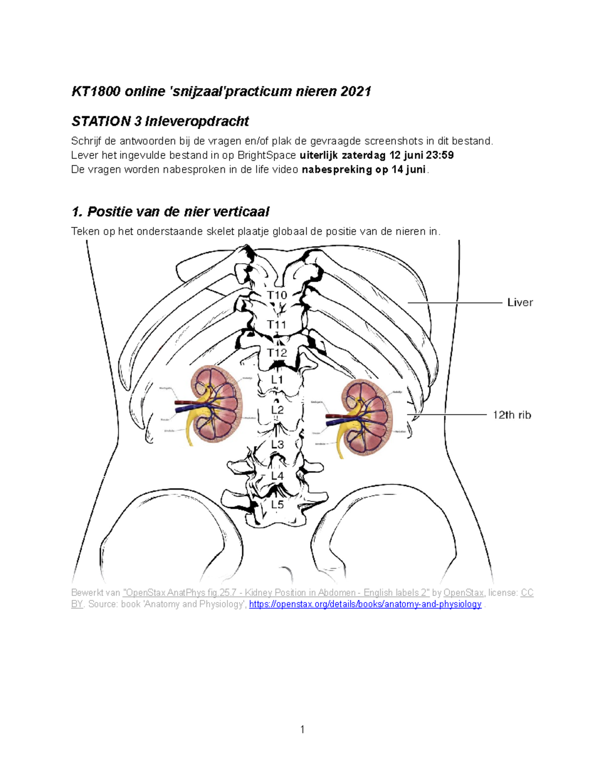 Station 3 Inleveropdracht tiago rijsdijk - KT1800 online 'snijzaal ...