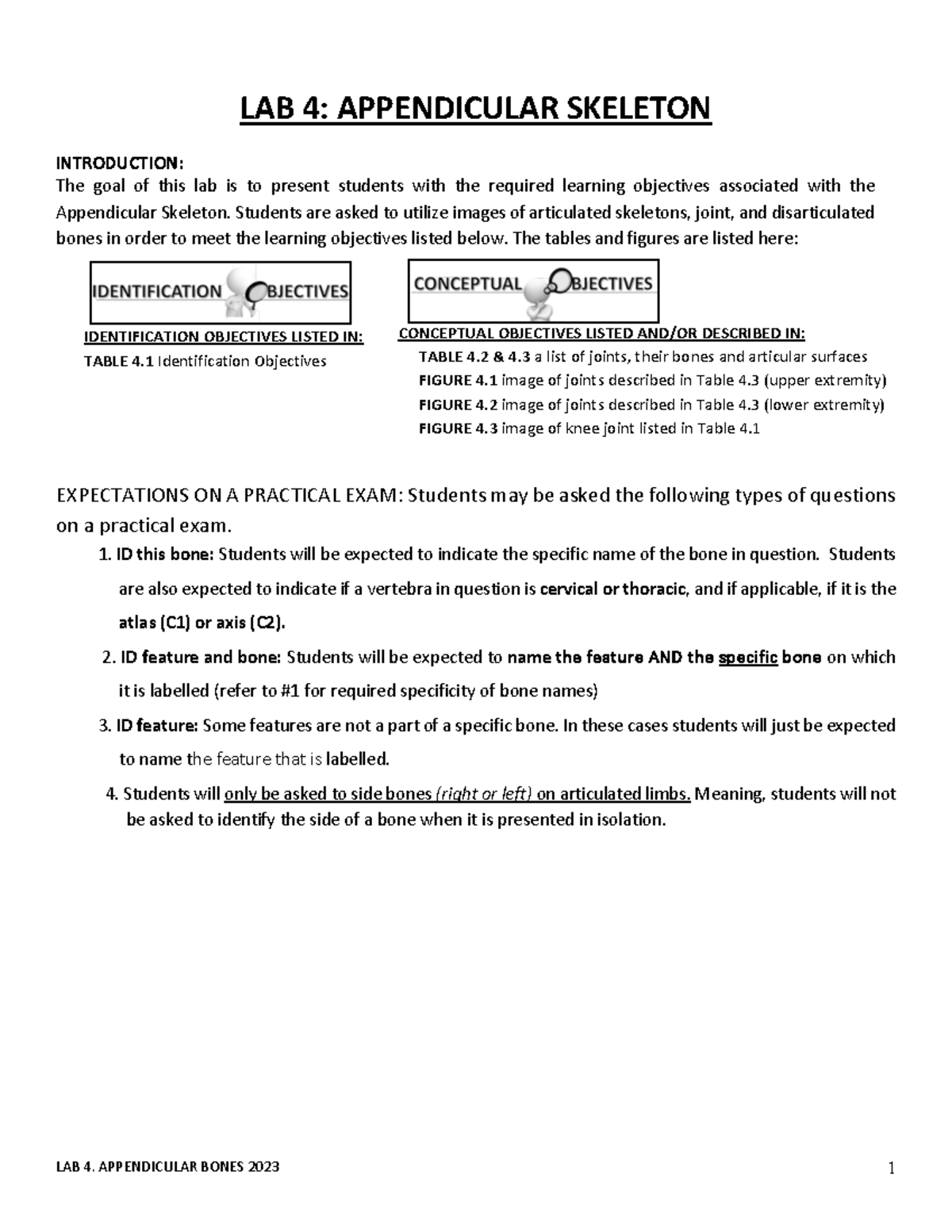 4. LAB 4. Appendicular Bones 2023 - LAB 4: APPENDICULAR SKELETON INTRODUCTION: The goal of this ...
