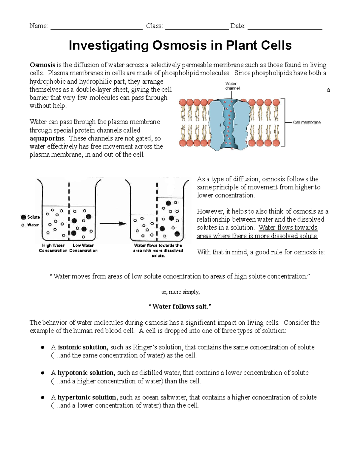 Osmosis and Plant Cells - Name: __________________________ Class ...