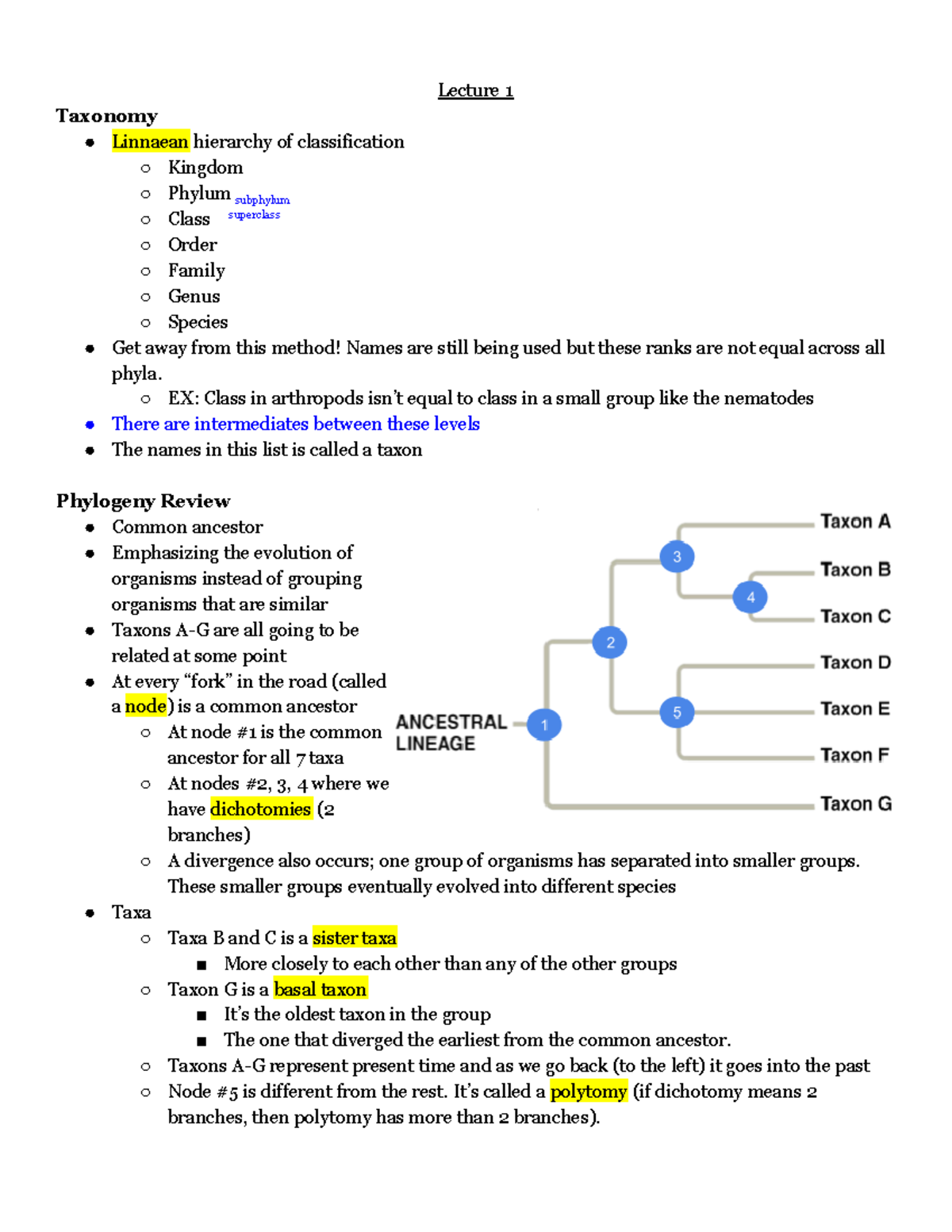 Lecture 1 - Lecture 1 Taxonomy Linnaean hierarchy of classification ...
