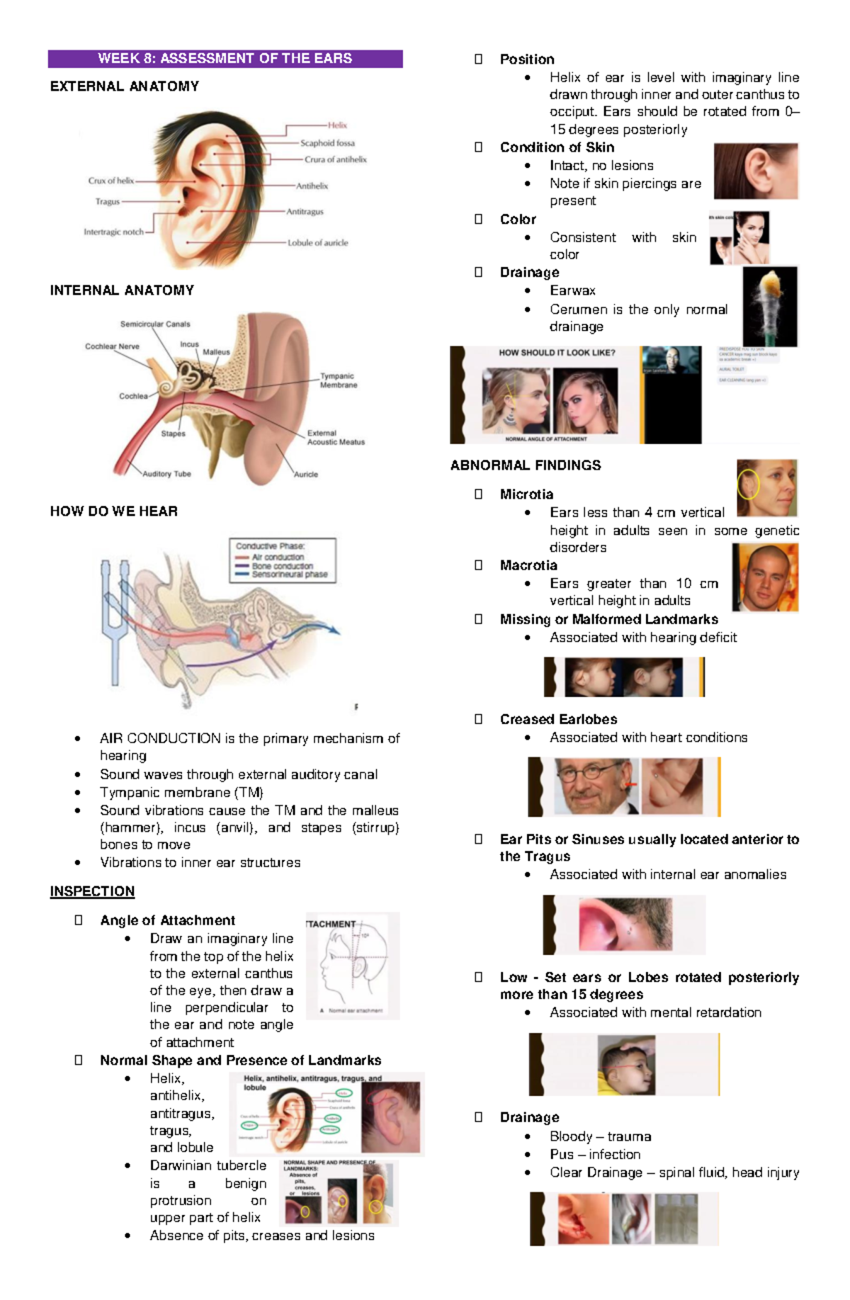 Assessment of the Ears and Mouth - WEEK 8: ASSESSMENT OF THE EARS ...