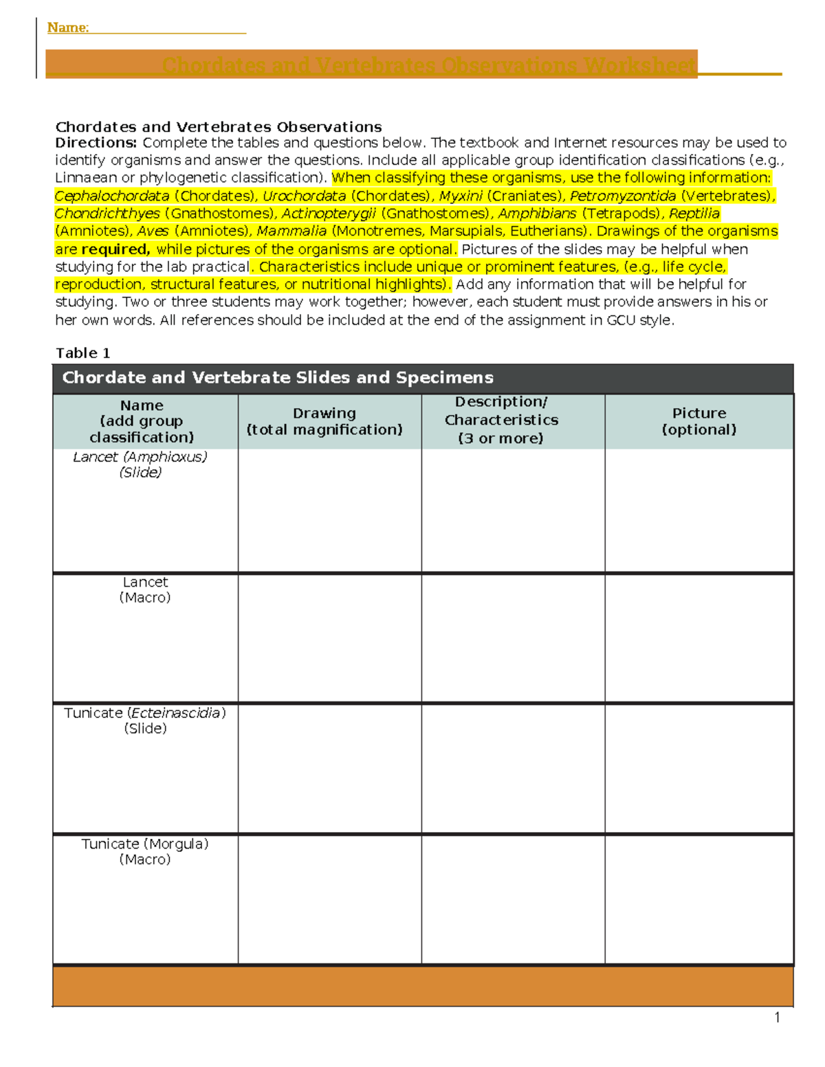 Worksheet Vertebrates - Chordates and Vertebrates Observations ...