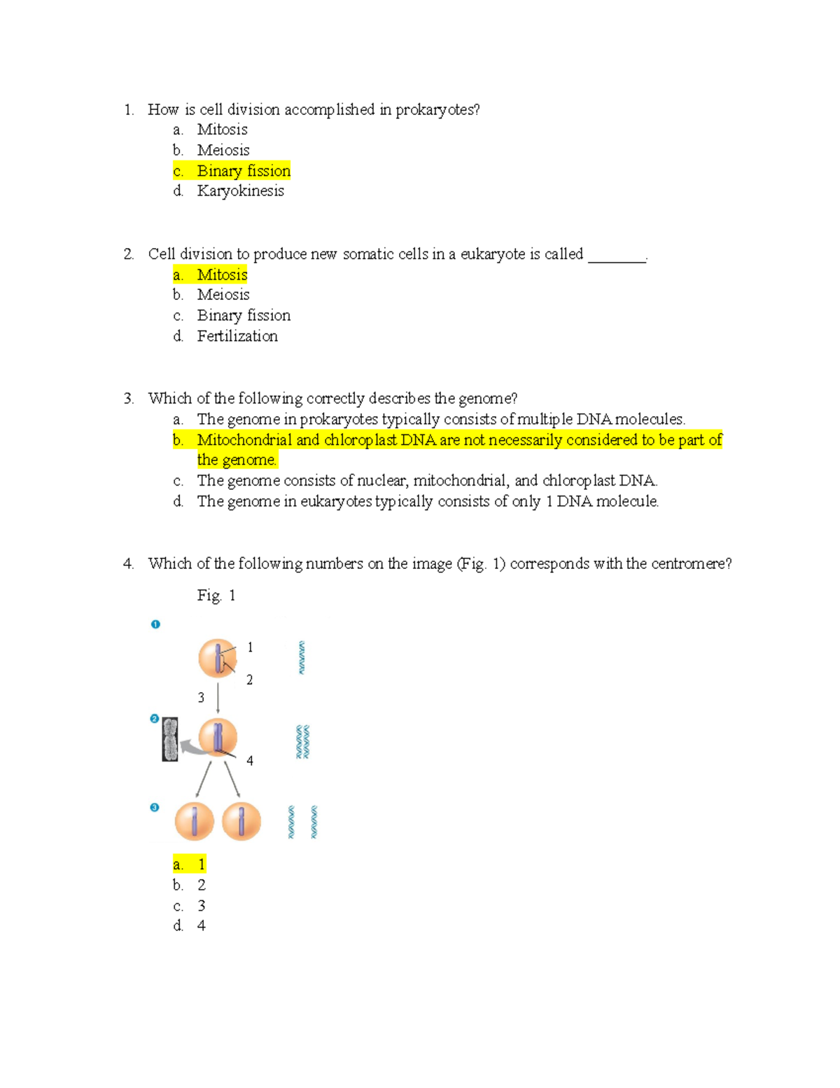 Cell Cycle + Meiosis Practice Questions KEY - 1. How is cell division ...