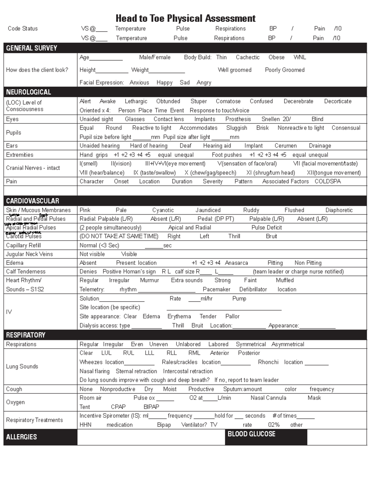 Headto Toe Patient Assessment Template b39a610aed9edd7c714ead65052 ...