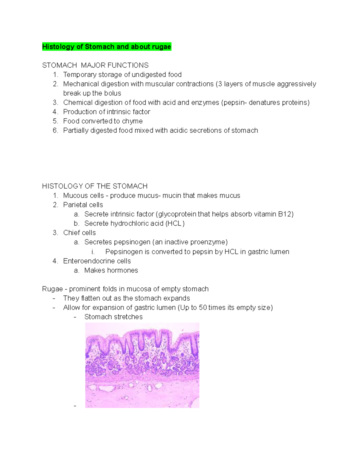 Histology of Stomach and about rugae - Histology of Stomach and about ...