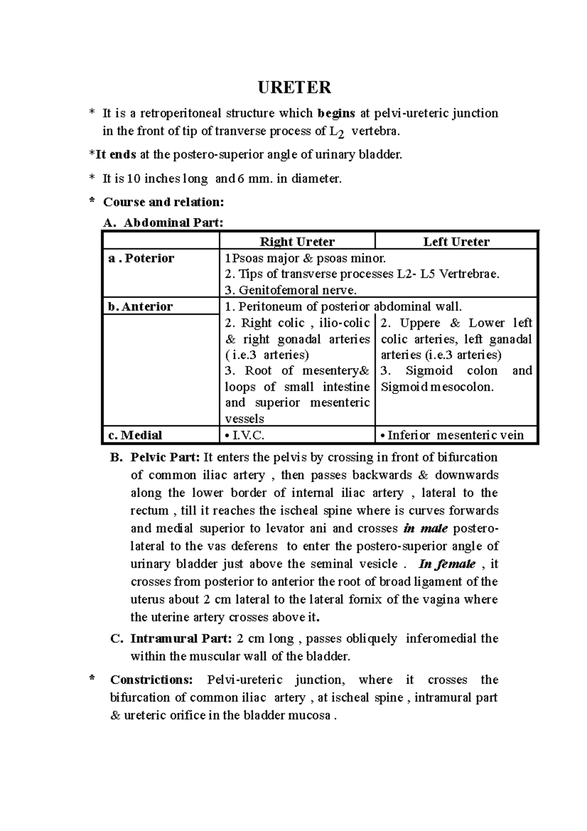 Anatomy of ureter - Notes - URETER It is a retroperitoneal structure ...
