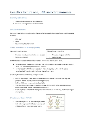 Genetics Lecture 1 notes - Genetics Lecture 1 – cell cycle and mitosis ...