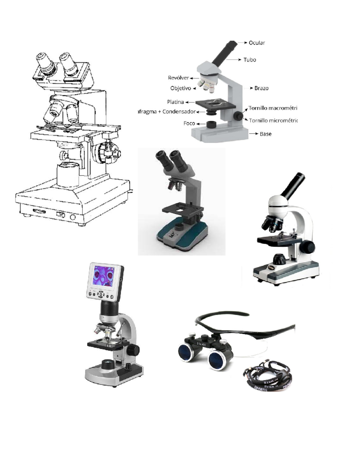 Fotos microspio - PARTES DE MICROSCOPIO - Fundamentos Biológicos de la ...