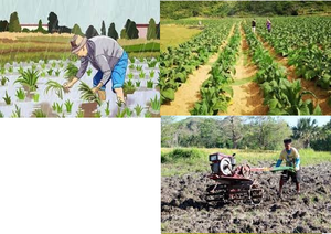 Rice Journal Article - See discussions, stats, and author profiles for ...