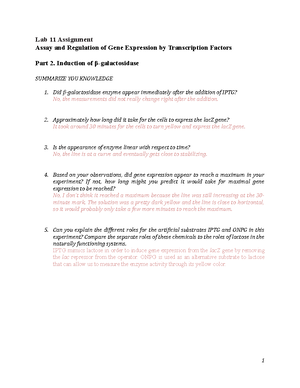 Lab 3 Assignment - Lab 3 Assignment Biological Molecules, Solutions ...