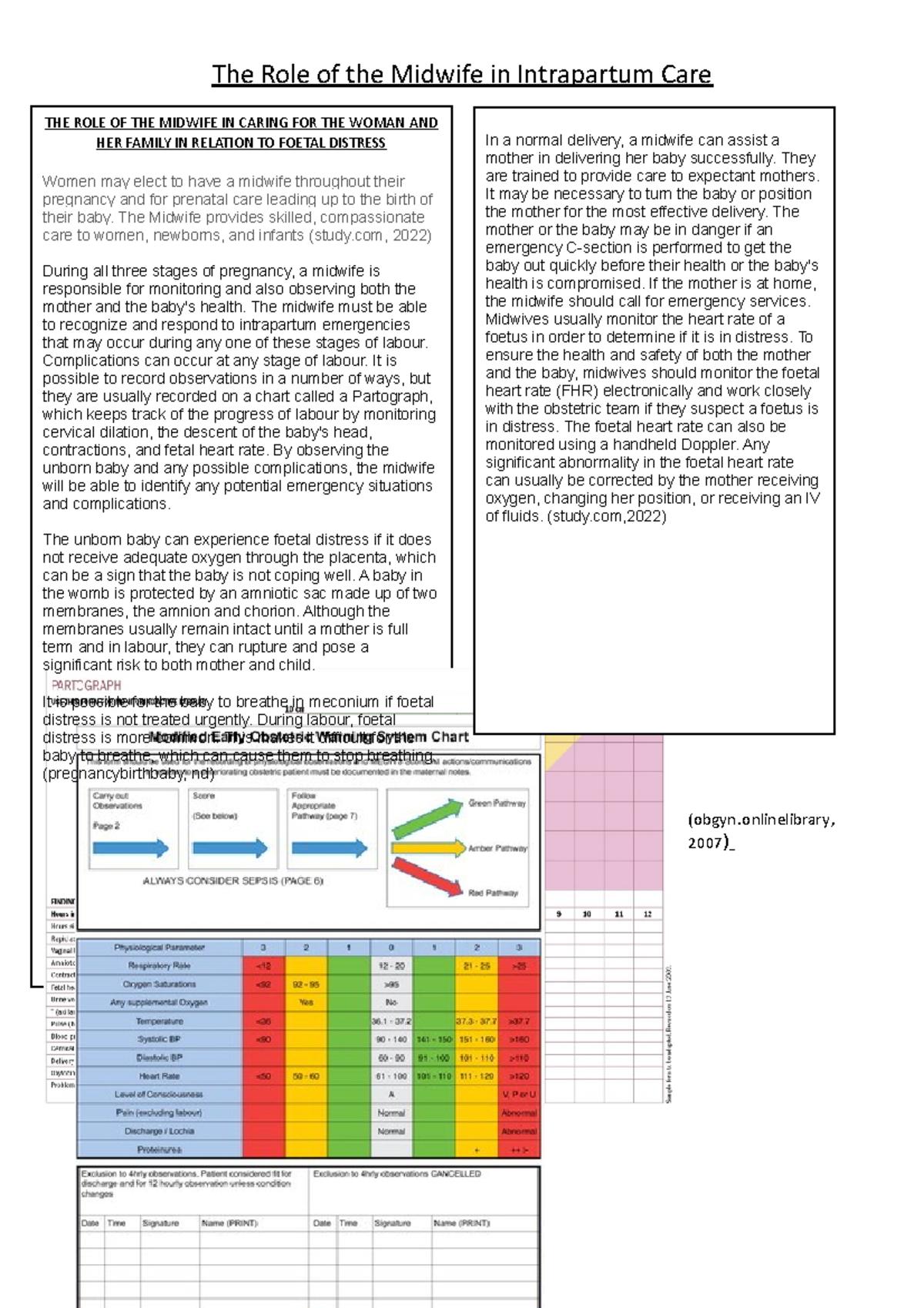 The role of the Midwife in intrapartum care new - The Role of the ...