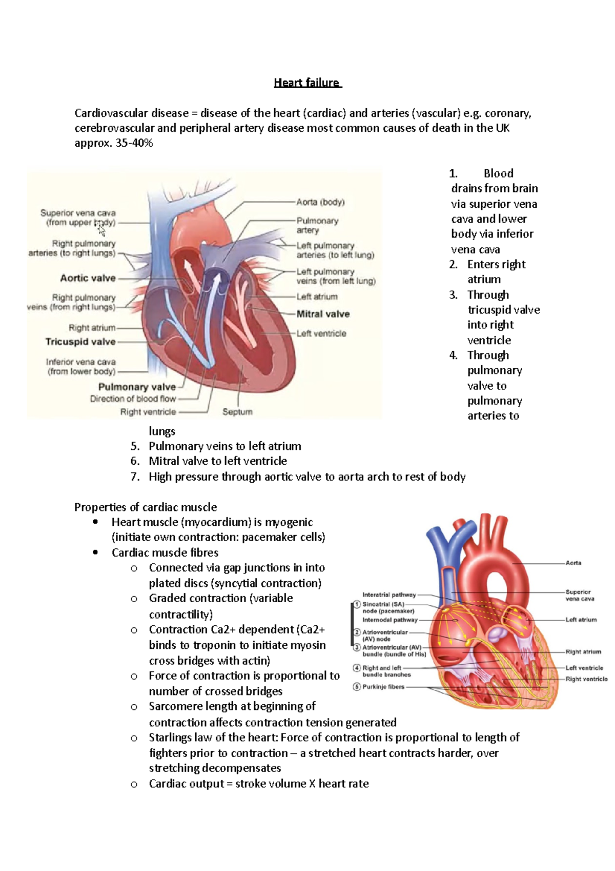 Heart failure - Heart failure Cardiovascular disease = disease of the ...